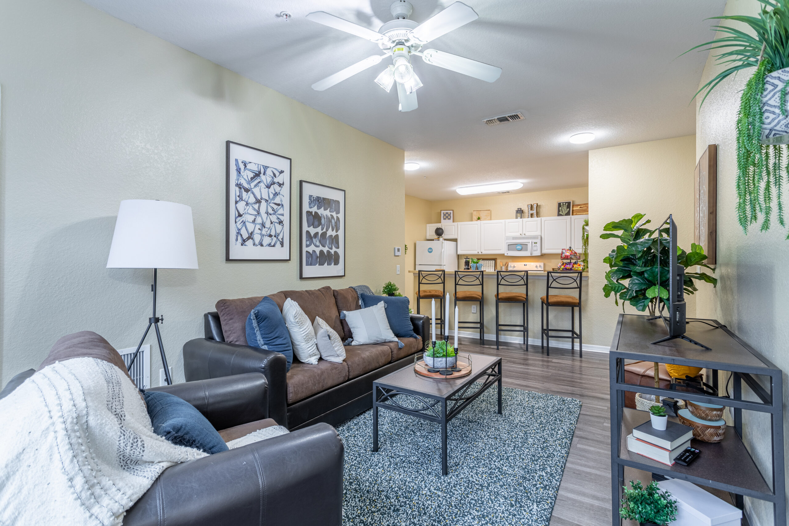 Take A Look Around Our HCC Student Housing